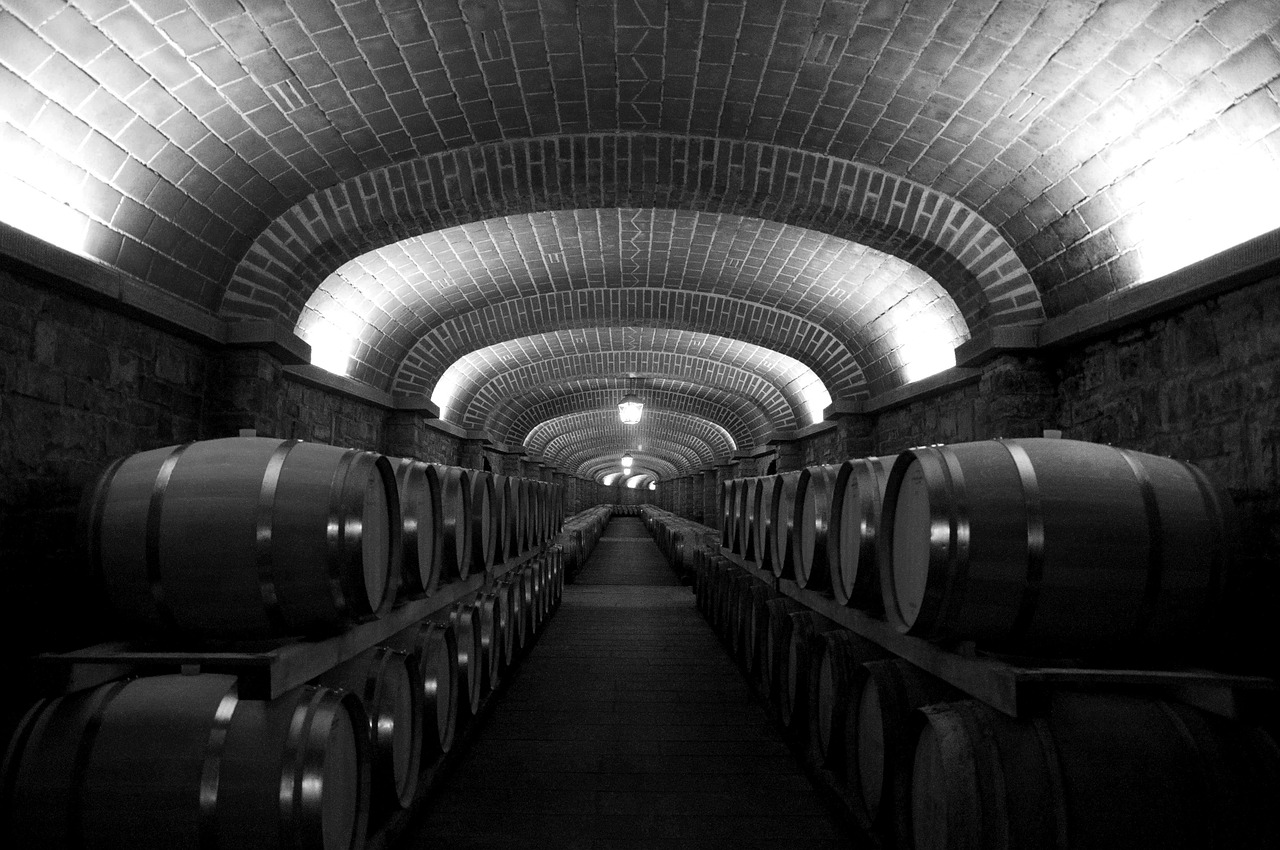 The Hidden Challenges of Wine Cellar Repairs: What Every Connoisseur ...